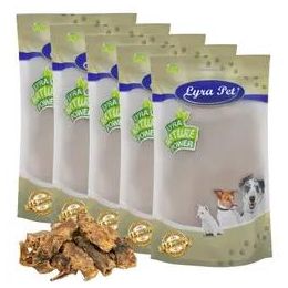 5 kg LYRA PET&reg; Ochsenziemer Abschnitte 4 - 12 cm