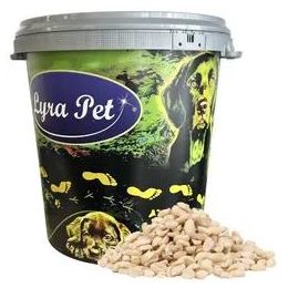 10 kg LYRA PET&reg; Erdnusskerne SPLITS in 30 L Tonne