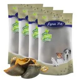 60 Stk. LYRA PET&reg; Rinderhufe ca. 4,8 kg