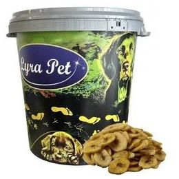 5 kg LYRA PET&reg; Bananen getrocknet in 30 L Tonne