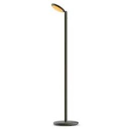 Grau Stehlampe Parrot Floor Portable Black Brass