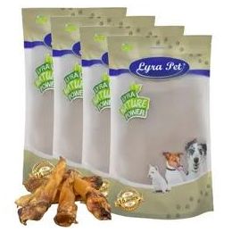 200 Stk. LYRA PET&reg; Rinderohren ca. 10 kg