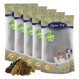 5 kg LYRA PET&reg; Rinderpansen klein