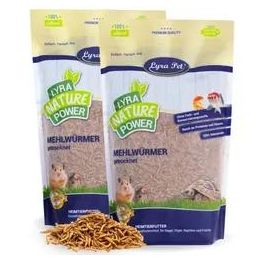 2 kg LYRA PET&reg; Mehlw&uuml;rmer getrocknet