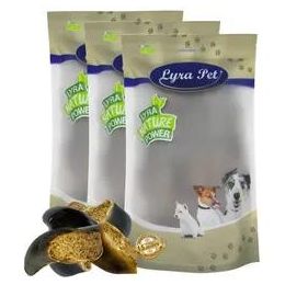 45 Stk. LYRA PET&reg; Rinderhufe gef&uuml;llt mit Pansen und Leber ca. 5,4 kg