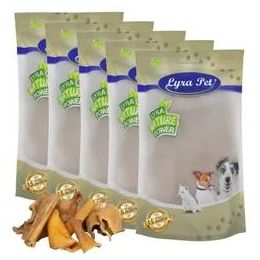 5 kg LYRA PET&reg; Rinderkopfhaut Abschnitte 4 - 8 cm