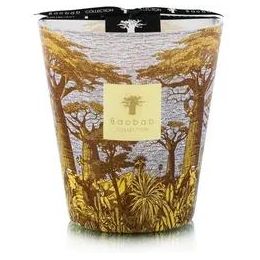 Baobab COLLECTION Baobab Duftkerze Sacred Trees Cocody Max 16
