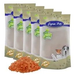 5 kg LYRA PET&reg; H&uuml;hnerbrustw&uuml;rfel