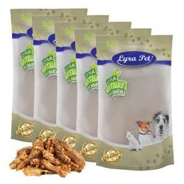 5 kg LYRA PET&reg; H&uuml;hnerh&auml;lse