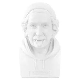 Donkey Products Money Box Einstein
