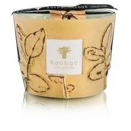 Baobab COLLECTION Baobab Duftkerze Folia Garrigue Max 10