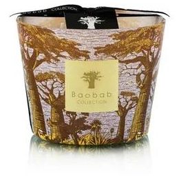 Baobab COLLECTION Baobab Duftkerze Sacred Trees Cocody Max 10