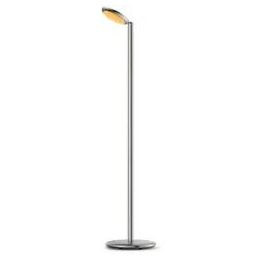 Grau Stehlampe Parrot Floor Portable Polished