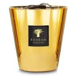 Baobab COLLECTION Baobab Duftkerze Max 16 Aurum