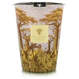Baobab COLLECTION Baobab Duftkerze Sacred Trees Cocody Max 24