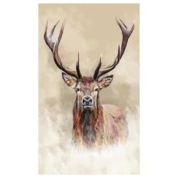 Wandbild Reinders "Hirsch", braun (farbe bild(er): natur, braun), B:70cm H:118cm, Hartfaserplatte, MDF, Bilder