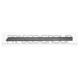 PRASCO Zier-/Schutzleiste, T&uuml;r sk0241454 hinten links f&uuml;r Skoda