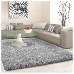 Hochflor-Teppich Ayyildiz Teppiche "Life Shaggy 1500", grau (hellgrau), B:200cm H:30mm L:290cm, Kunstfaser, Teppiche, Langflor, uni, gro&szlig;e Farbauswahl, robust, auch als L&auml;ufer und in rund