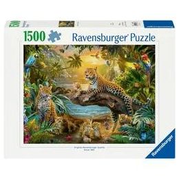 Puzzle Ravensburger "Leopardenfamilie im Dschungel", bunt, Puzzles, KinderB:80cm H:60cm, Pappe, Made in Germany, B:80cm H:60cm