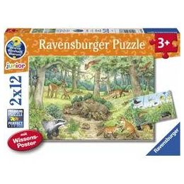Puzzle Ravensburger "Wieso? Weshalb? Warum? Junior, Tiere im Wald und auf der Wiese", bunt, Puzzles, KinderB:26cm H:18cm, Pappe, Motiv, 2x12 Teile; Made in Europe, B:26cm H:18cm