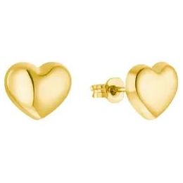 Paar Ohrstecker Amor "Golden Hearts", gold (goldfarben), Ohrringe, Damen, Gelbgold 585