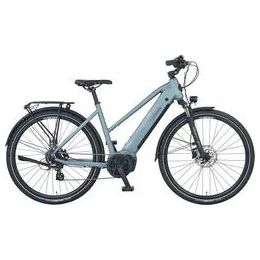 E-Bike Prophete "Entdecker 3.8" Gr. 50, silber (silber, schwarz), Elektrofahrr&auml;der, 50cm, 28 Zoll (71,12cm), Pedelec, Elektrofahrrad f&uuml;r Damen, Topseller