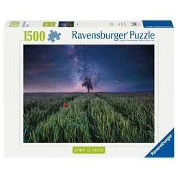 Puzzle Ravensburger "power of nature, Nachthimmel &uuml;ber dem Kornfeld", bunt, Puzzles, KinderB:80cm H:60cm, Pappe, Made in Germany, B:80cm H:60cm