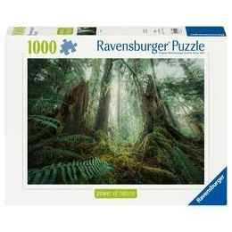 Puzzle Ravensburger "power of nature, Faszinierender Wald", bunt, Puzzles, KinderB:70cm H:50cm, Pappe, Made in Germany, B:70cm H:50cm