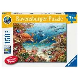 Puzzle Ravensburger "Wieso? Weshalb? Warum? Meerestiere am Korallenriff", bunt, Puzzles, KinderB:49cm H:36cm, Pappe, Made in Germany, B:49cm H:36cm