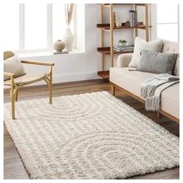 Hochflor-Teppich LIVABLISS "TRAKAI", beige, B:160cm H:52mm L:220cm, Kunstfaser, Teppiche, Flauschig, Langflor, Weich, Boho Wohnzimmerteppich, Grau