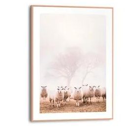 Poster Reinders "Schafe im Nebel", beige (farbe bild(er): beige), B:30cm H:40cm T:1,6cm, MDF, Bilder, Poster