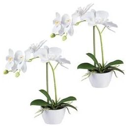 Kunstorchidee Creativ green "Orchidee Phalaenopsis", wei&szlig;, H:33cm, Kunststoff, Kunstpflanzen, im Design-Topf