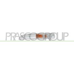 PRASCO Blinkleuchte vg6204314 vorne links f&uuml;r VW