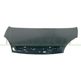 PRASCO Motorhaube ci7173100 f&uuml;r CITRO&Euml;N