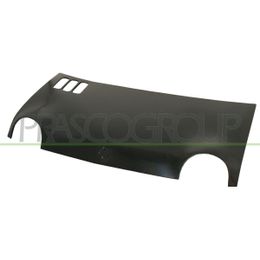 PRASCO Motorhaube rn3043100 f&uuml;r RENAULT