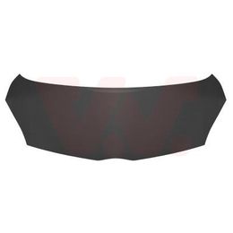 Van Wezel Motorhaube 5403660 f&uuml;r TOYOTA