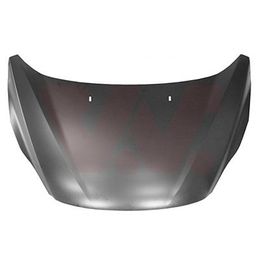 Van Wezel Motorhaube 1966660 f&uuml;r Ford