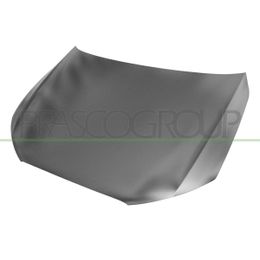 PRASCO Motorhaube ad8103110 f&uuml;r Audi