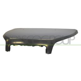 PRASCO Motorhaube dh7093100 f&uuml;r DAIHATSU