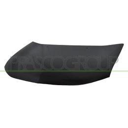 PRASCO Motorhaube mb7143100 f&uuml;r MITSUBISHI