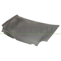 PRASCO Motorhaube vg0213100 f&uuml;r VW