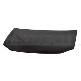 PRASCO Motorhaube vg7173100 f&uuml;r VW