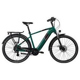 Z&uuml;ndapp E-Bike Z&Uuml;NDAPP "Z810" Gr. 52, gr&uuml;n (dunkelgr&uuml;n metallic), Elektrofahrr&auml;der, 52cm, 28 Zoll (71,12cm), Pedelec, Elektrofahrrad f&uuml;r Damen und Herren