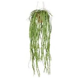 Kunstpflanze Creativ green "H&auml;ngende Rhipsalis crispata", gr&uuml;n, H:80cm, Kunststoff, Kunstpflanzen, Kunstpflanze, mit zahlreichen Ranken