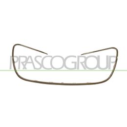 PRASCO K&uuml;hlergitter pg5302305 f&uuml;r Peugeot