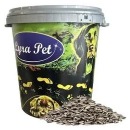 10 kg LYRA PET&reg; Sonnenblumenkerne gestreift in 30 L Tonne