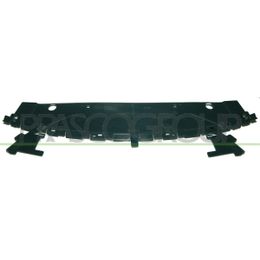 PRASCO Spoiler rn0841801 vorne f&uuml;r RENAULT