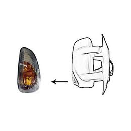 Van Wezel Blinkleuchte 3799920 W16W Au&szlig;enspiegel rechts f&uuml;r Opel