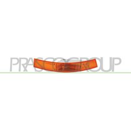 PRASCO Blinkleuchte ds9604104 vorne links f&uuml;r NISSAN