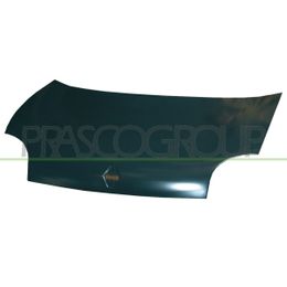 PRASCO Motorhaube rn9163100 f&uuml;r RENAULT